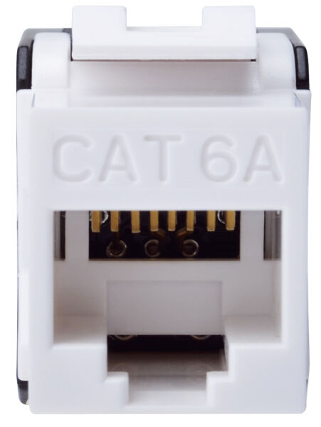 DIGITUS module Keystone Cat.6A (profond), non blindé - Achat/Vente ...